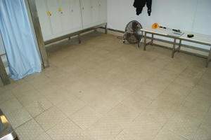 Project Profile – Marine – Transocean Discoverer Spirit - PCS ...